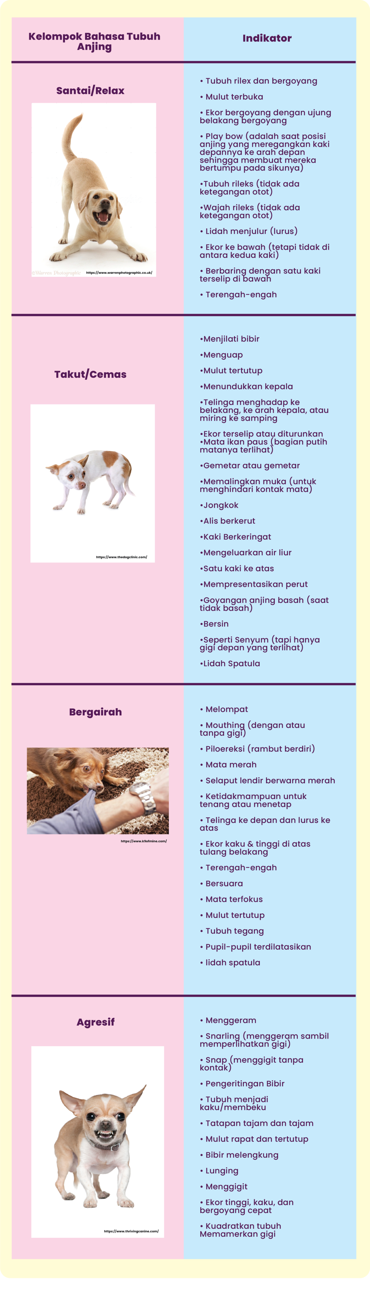 Mengenal Bahasa Tubuh Anjing - Animal Welfare Indonesia - Kesejahteraan ...