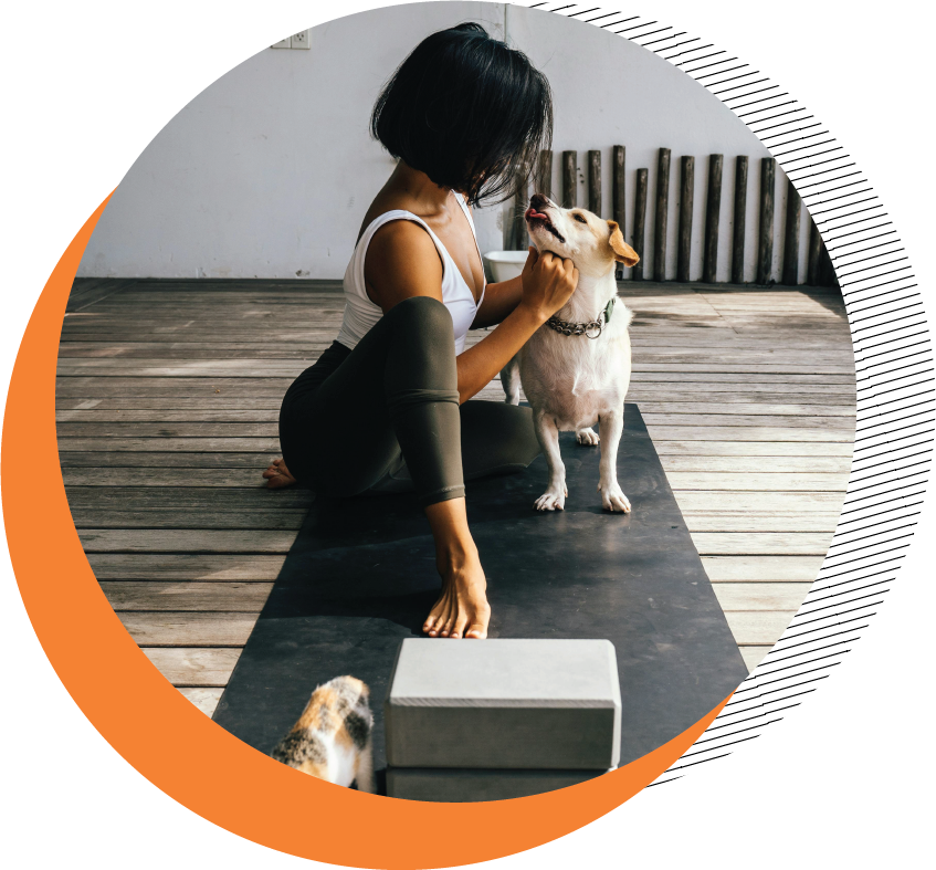 Anabul Sehat, Keluarga Bahagia: Tips Jitu Merawat Anabul di Musim ...