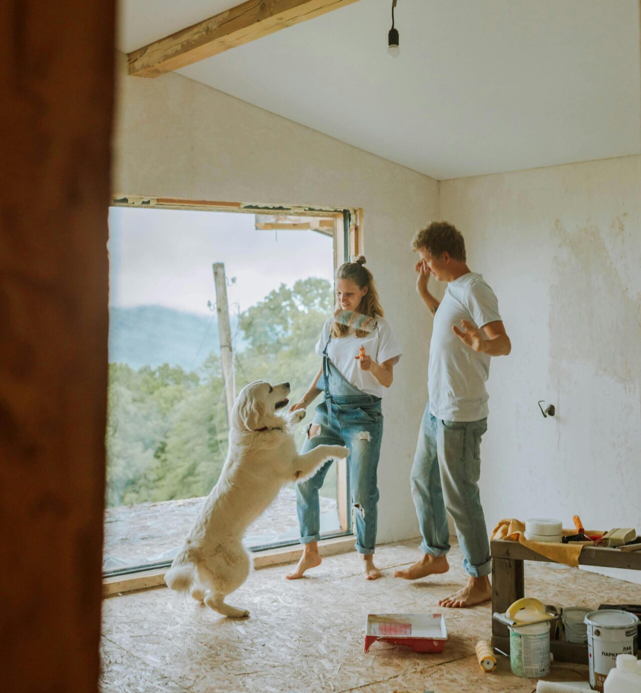 Anabul Sehat, Keluarga Bahagia: Tips Jitu Merawat Anabul di Musim ...